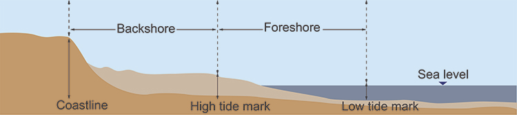 Chapter 2 Methods | Beach Morphology Characteristics of Sea Turtle ...